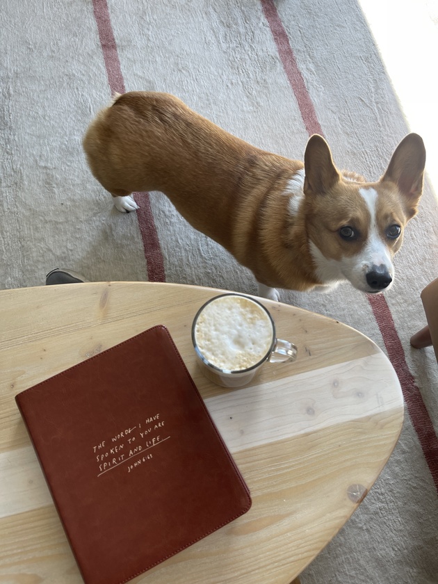 Shared post - Happy Friday Truth Seekers!