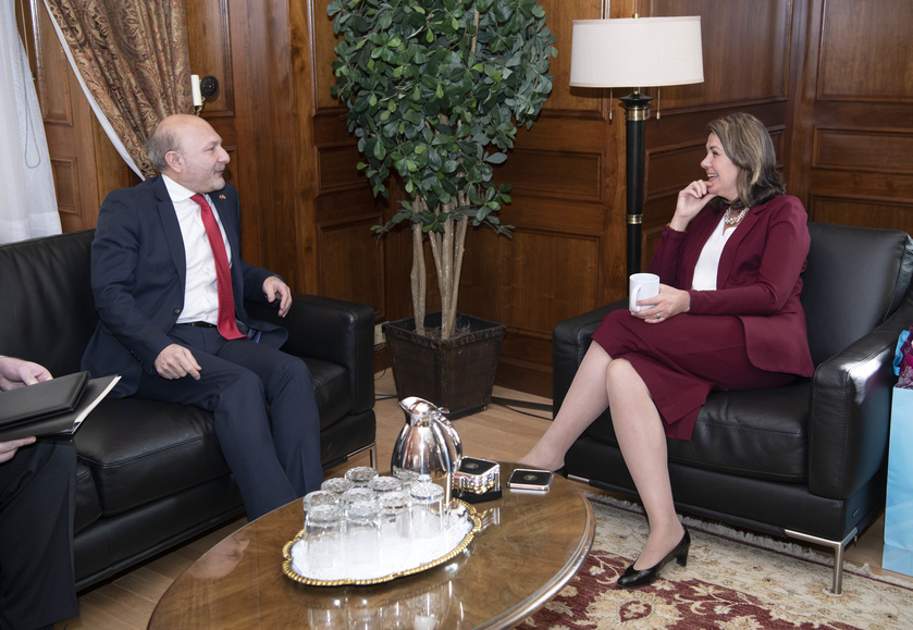 Georgian Ambassador To Australia at Douglas Byrd blog