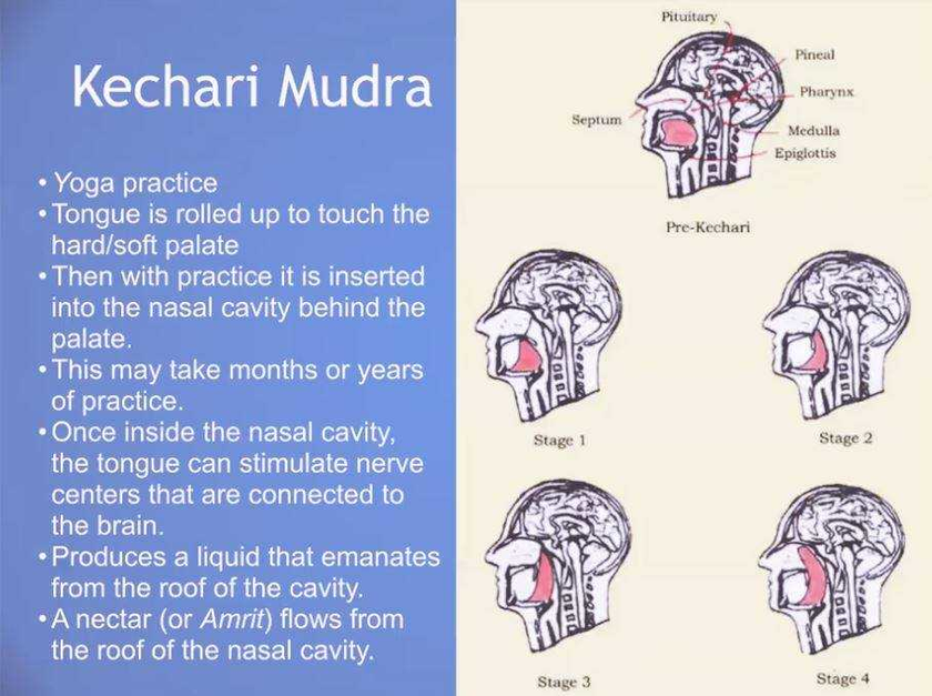 Shared post - Speaking In Tongues - Kechari Mudra -Hatha Yoga -Tongue ...