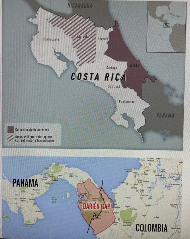 Shared post - Malarial Red Zone — You’ll be happy to know…