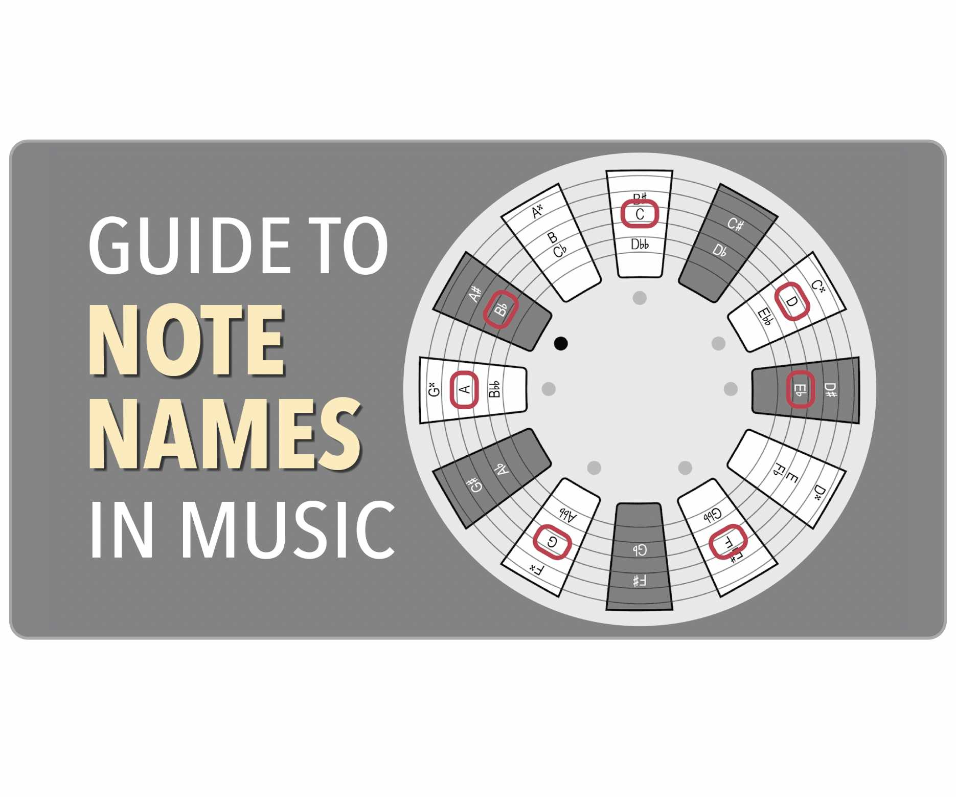 Shared post - 189 | Guide to Note Names in Music